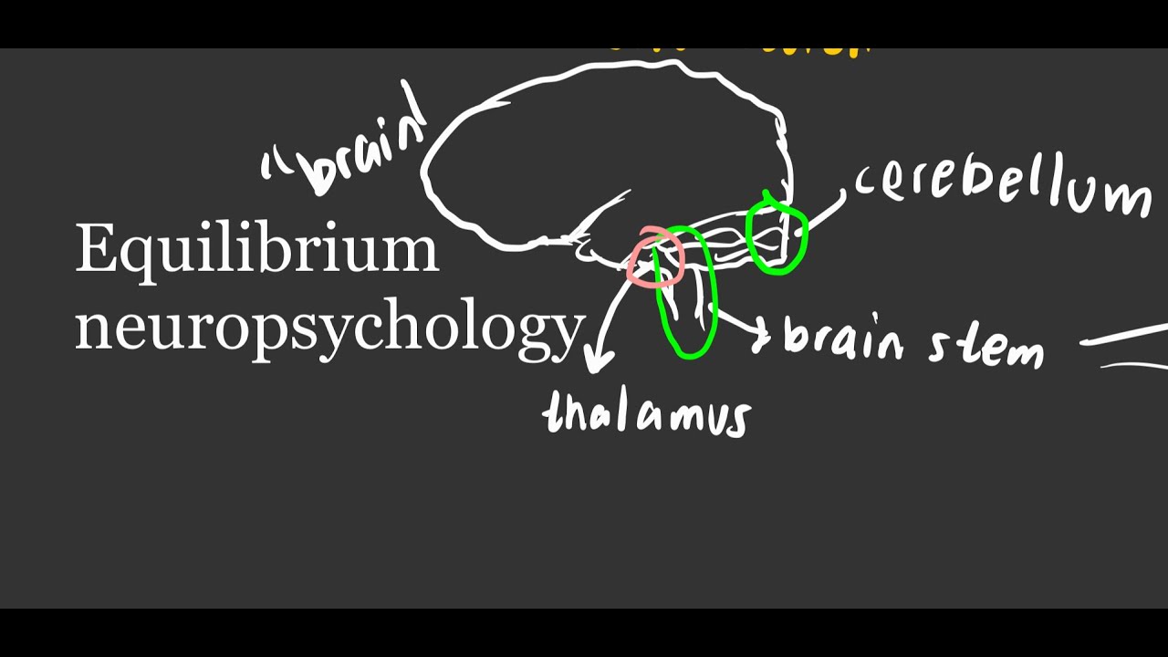 Equilibrium neurophysiology - YouTube