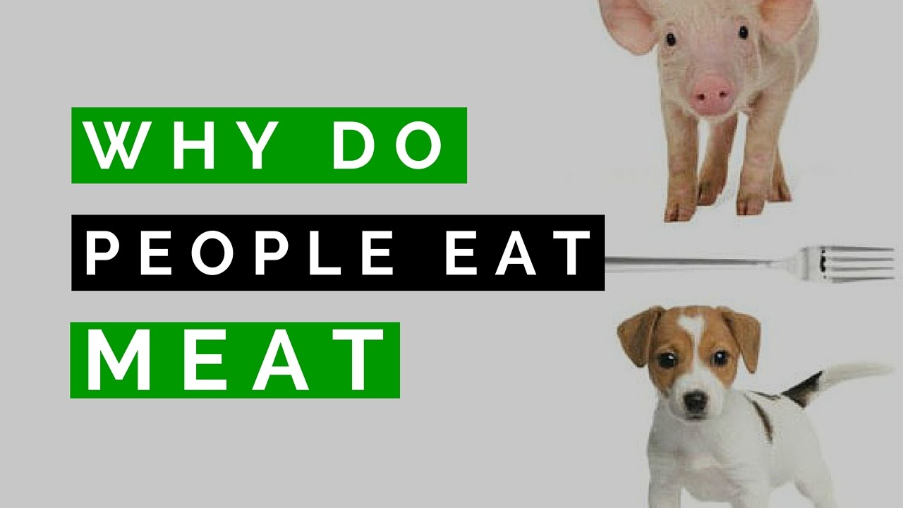 Why do people eat meat? Understanding Carnism SPEAKING VEGAN #007 - YouTube