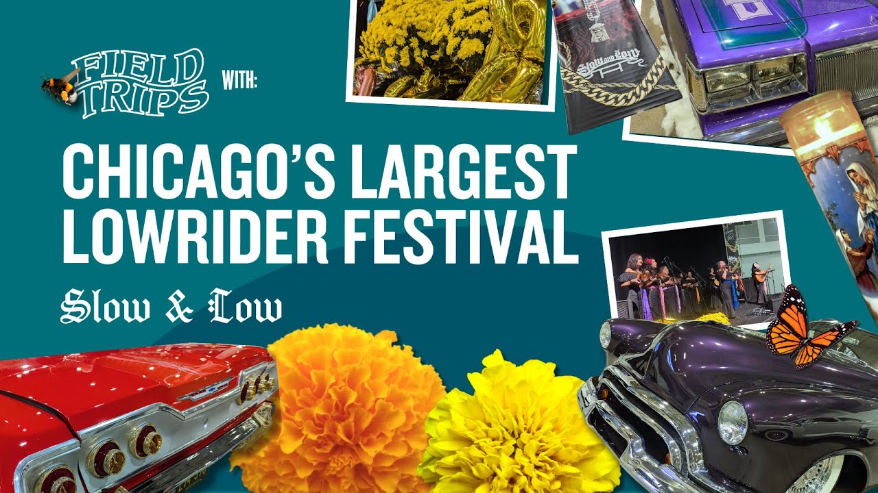 Exploring COMMUNITY at CHICAGO'S LARGEST LOWRIDER FESTIVAL - YouTube