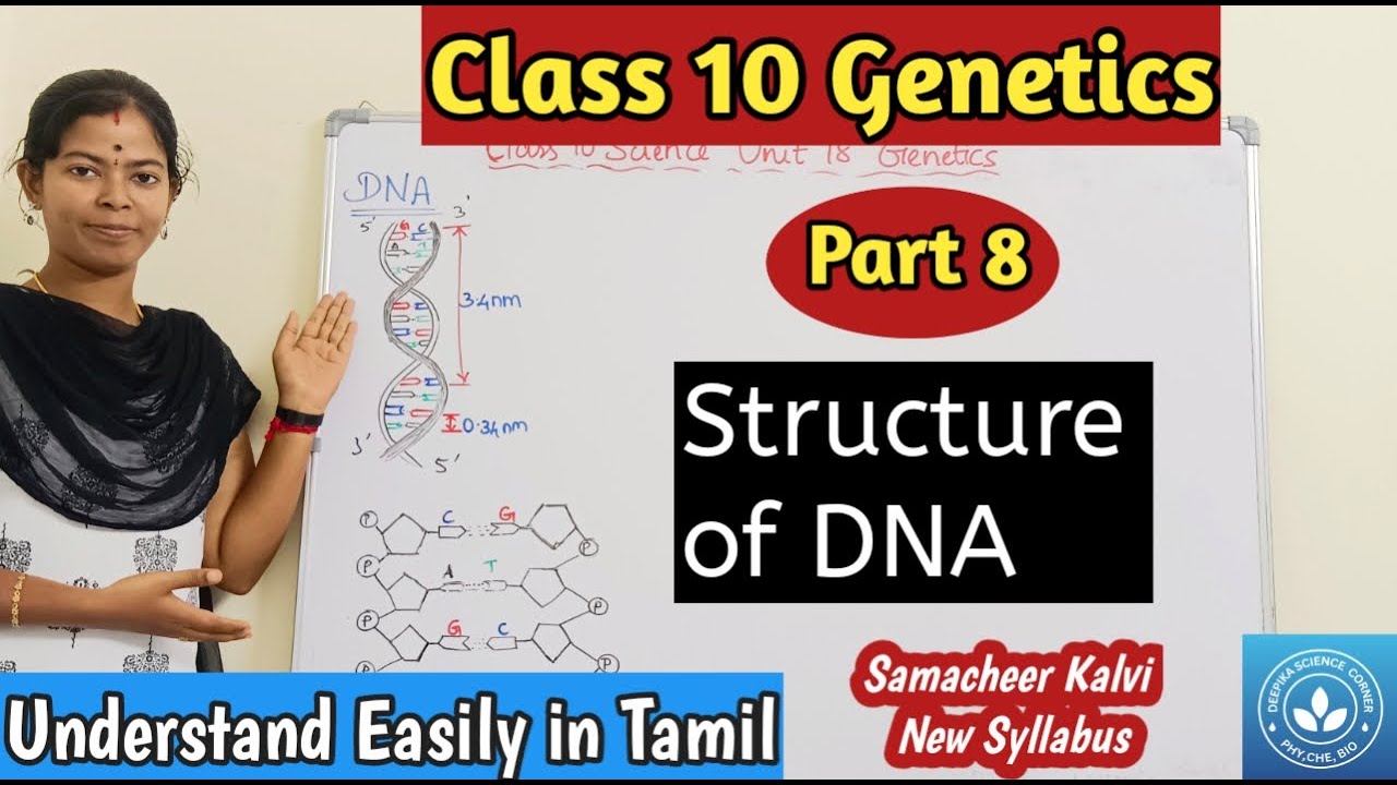 Structure of DNA| Class 10 Science Unit 18 Genetics - YouTube