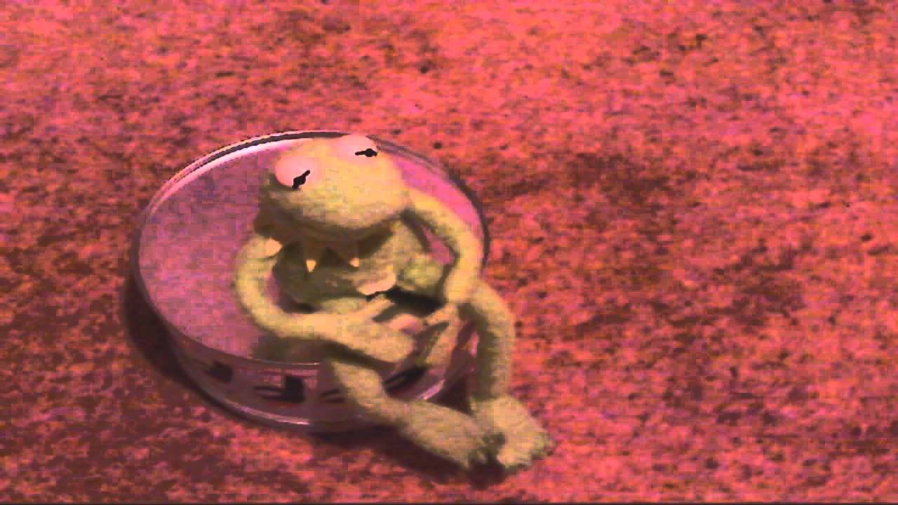 Honestech Stopmotion Studio - Review - YouTube