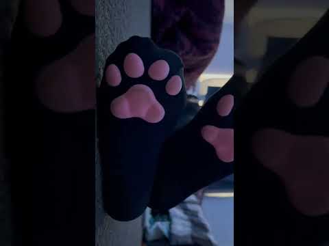 Teen in cat paw thigh highs