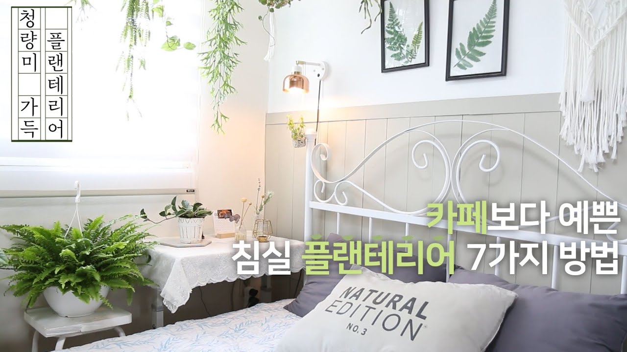 로망이 현실이 된 초록식물로 가득한 방꾸미기 키우기 쉬운 식물로 플랜테리어 하기 식물 배치하는 노하우 공개 요즘 식물