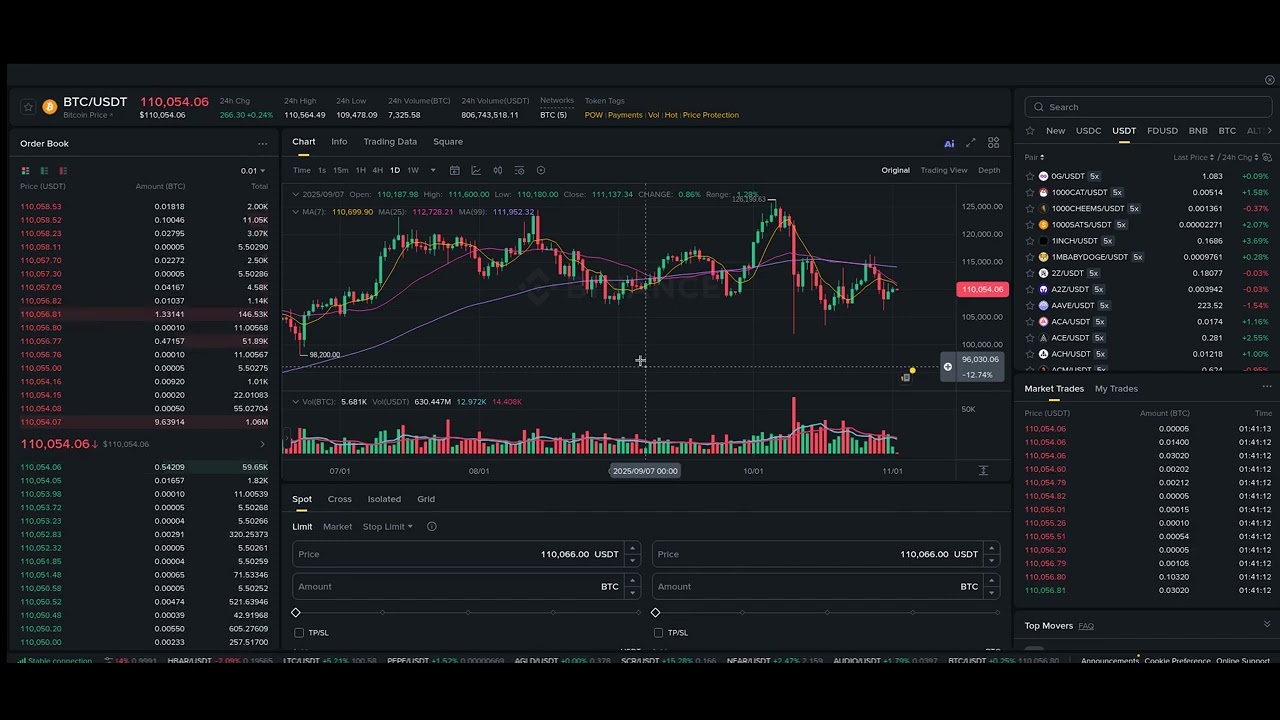 LIVE BTC/USDT CHART: Real-Time Bitcoin Price Tracker (Current Market ...