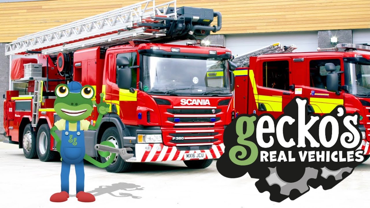 Gecko and the Fire Truck - Gecko's Real Vehicles | Educational Videos ...