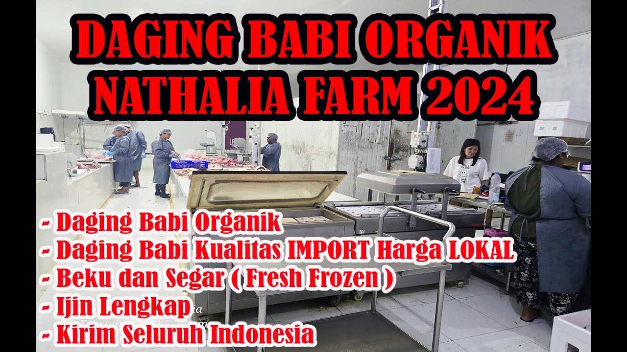 DAGING BABI ORGANIK NATHALIA FARM 2024 - YouTube