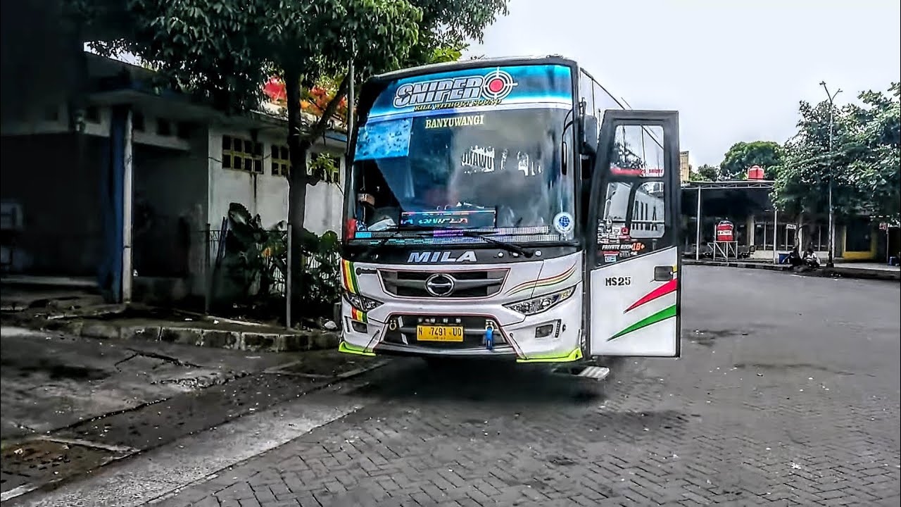 PENTING ! info tarip lengkap bus MILA SEJAHTERA jogja-banyuwangi - YouTube
