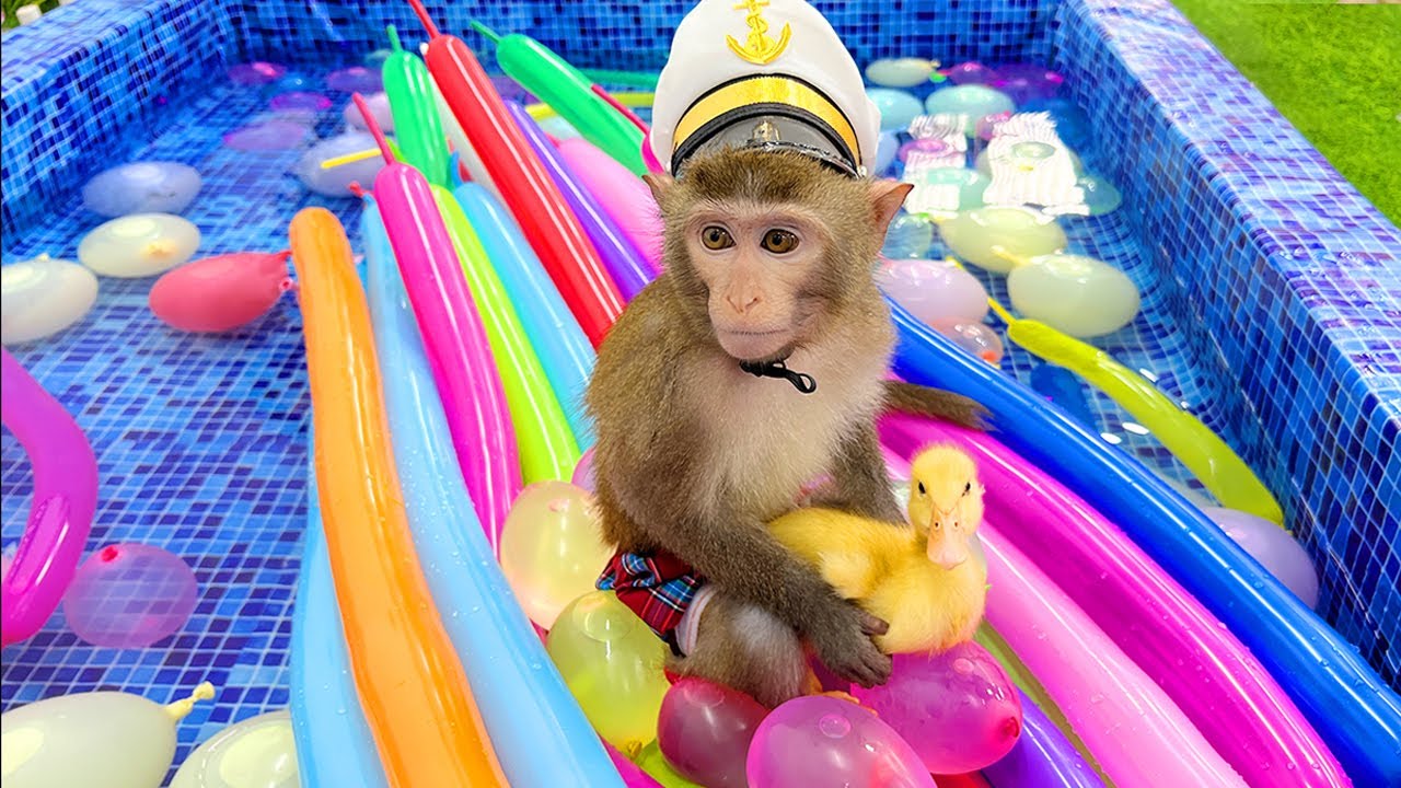 Baby Monkey Bim Bim playing Colorful Water Balloons Chanllenge with ...