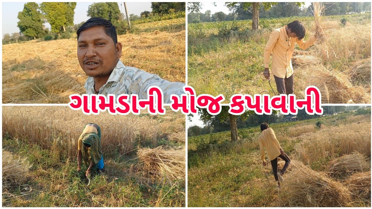 Village farm house LIFE OF RAJPUT - YouTube
