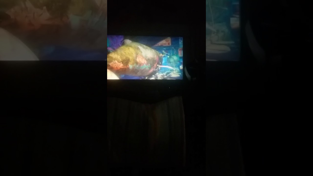 Shark Tale whale Wash! ️ ☺️ - YouTube