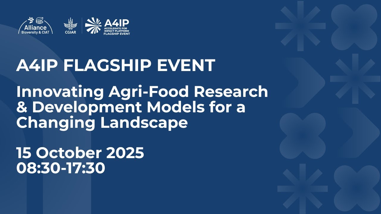 A4IP Flagship Event 2025 - YouTube