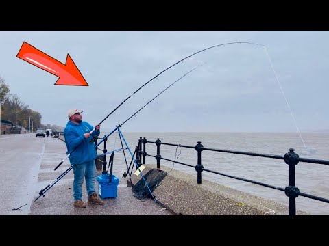 PLENTY of ACTION while SEA FISHING for COD on the RIVER MERSEY! 