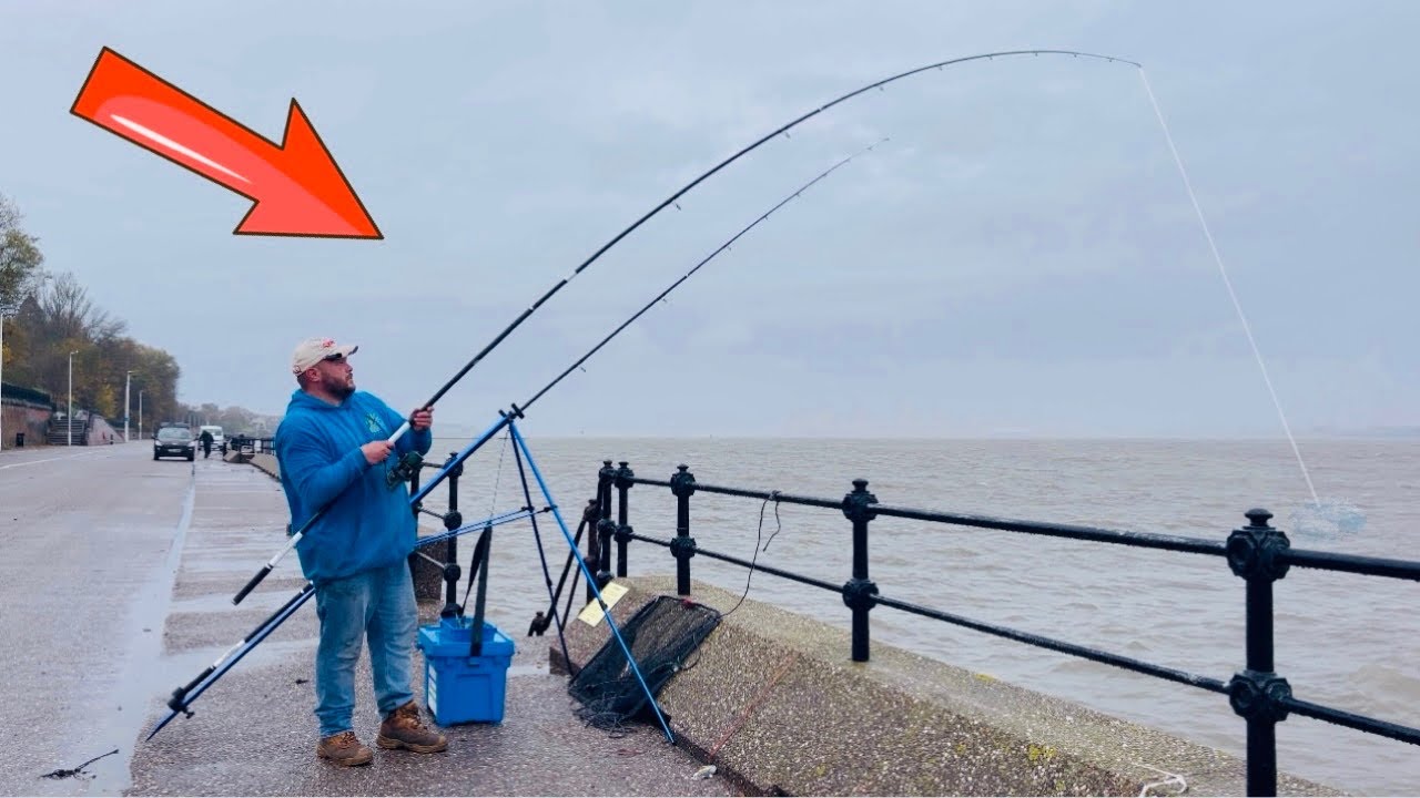 PLENTY of ACTION while SEA FISHING for COD on the RIVER MERSEY! - YouTube