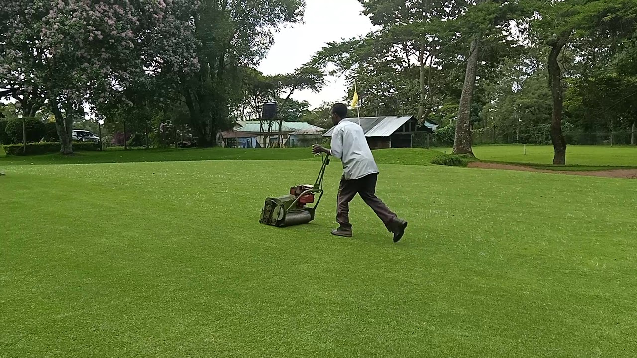 Nandi Bears Club Golf Course preparation - YouTube
