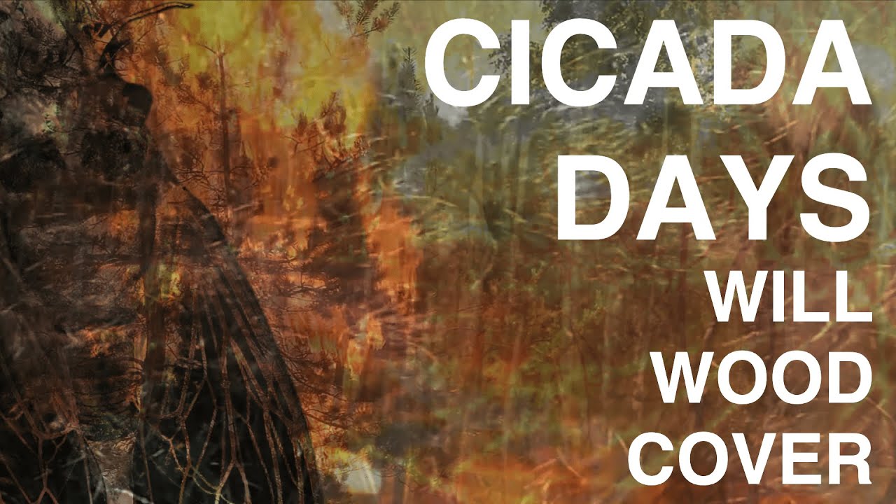 Cicada Days | Will Wood Cover - YouTube