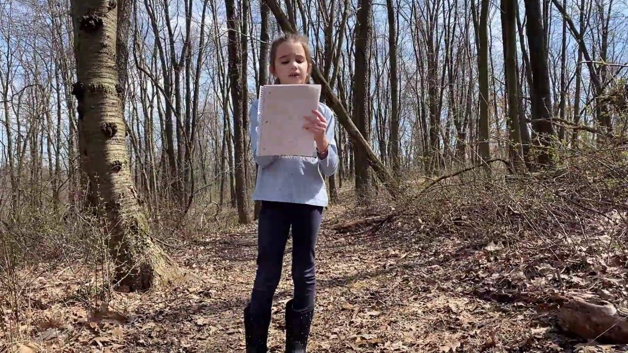 A Walk in Nature: The First Signs of Spring - YouTube