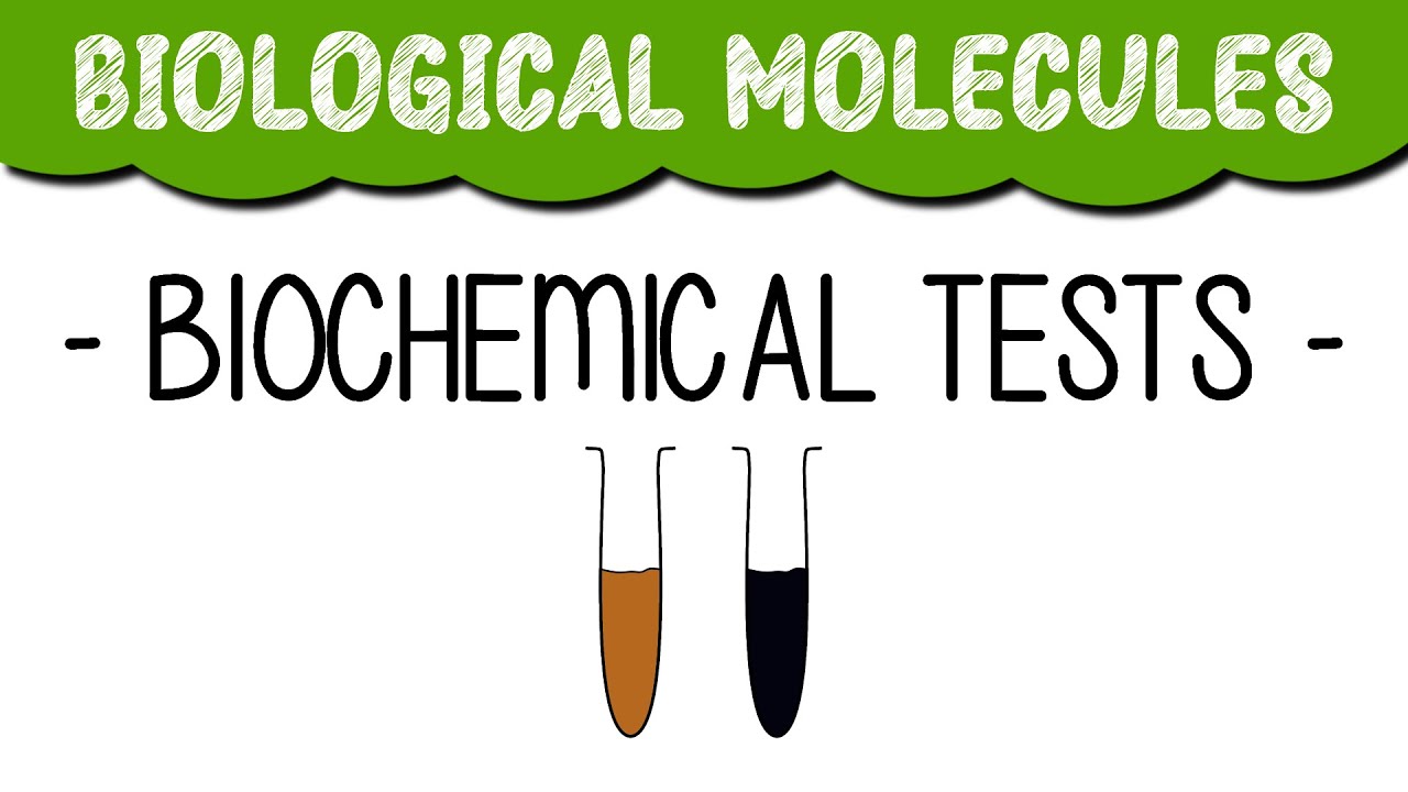 A Level Biology "Biochemical tests" - YouTube