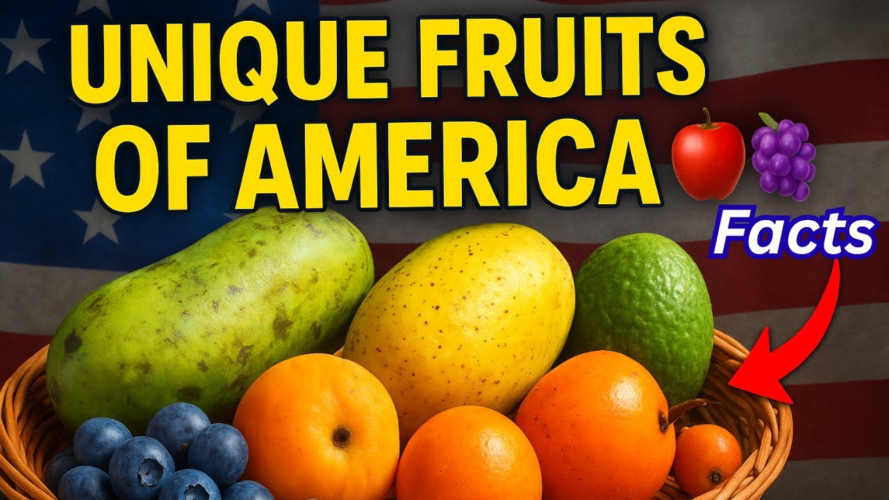 Unique Fruits of America Rare Fruits Found Only in the USA with Amazing ...