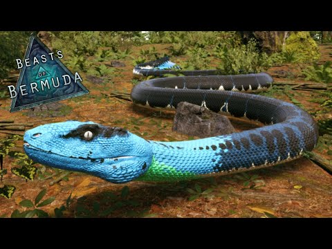 The NEW Palaeophis slithers its way into Beasts of Bermuda!!! (Public ...