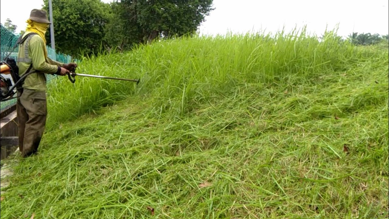 POTONG RUMPUT DI LERENG KAWASAN PARKIR - YouTube
