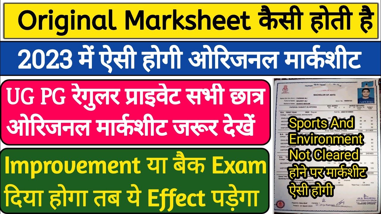 Original Marksheet कैसी होती है / Graduation Marksheet / BA ki ...