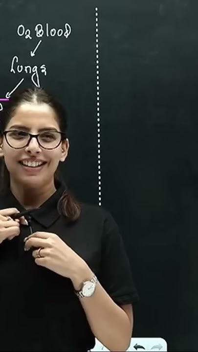 365/1day Challenge Neet 2026 #viralvideo #neet #jee - YouTube