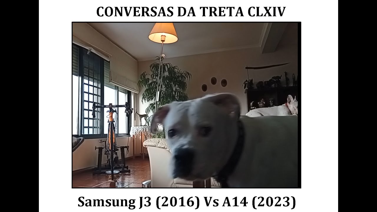 TREINO EM ROLOS: CONVERSA DA TRETA CLXIV - YouTube