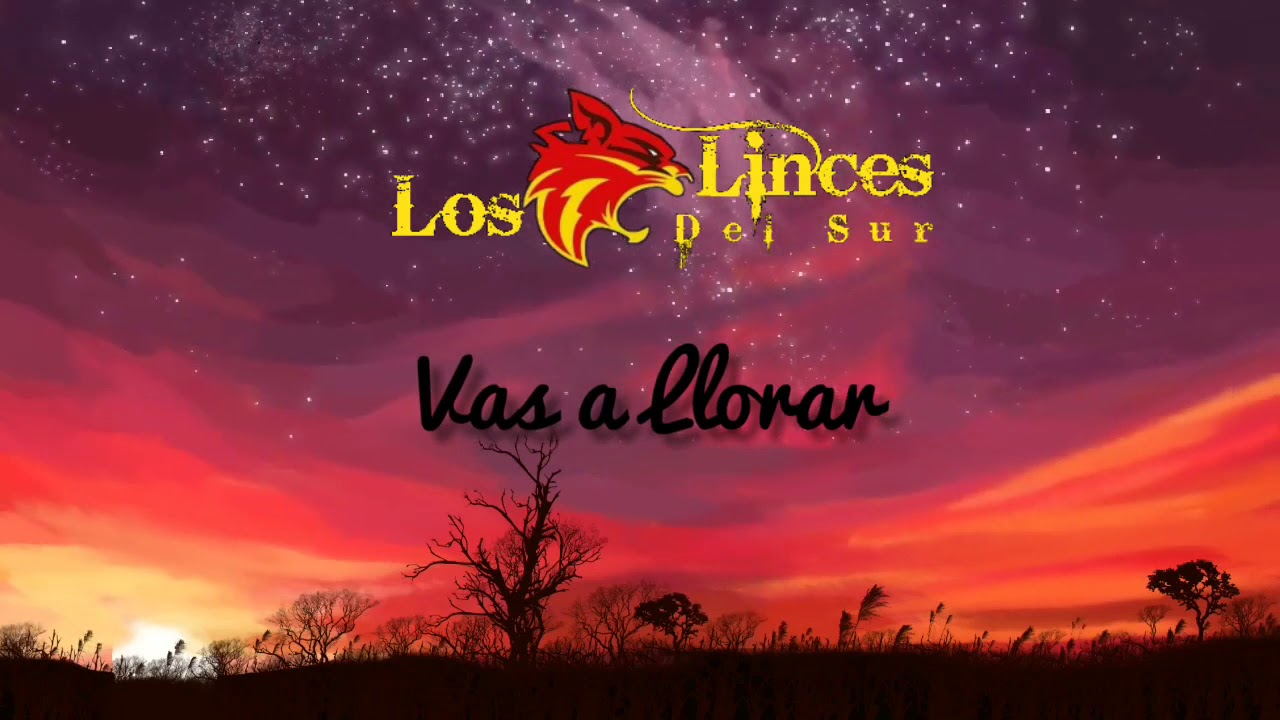 Vas A Llorar - Grupo Linces Del Sur 2019 - 2020 - YouTube