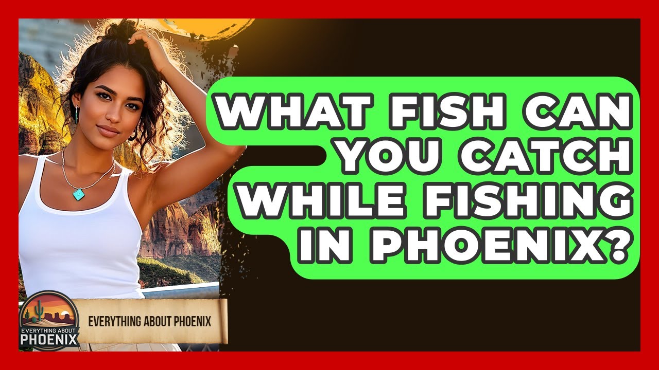 What Fish Can You Catch While Fishing In Phoenix? - Everything About ...