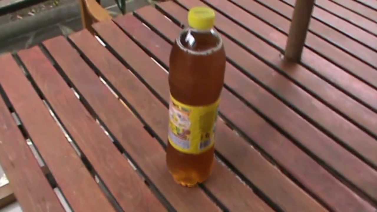 Quando le persone si sentono assetate in estate - Best vines ITA ...