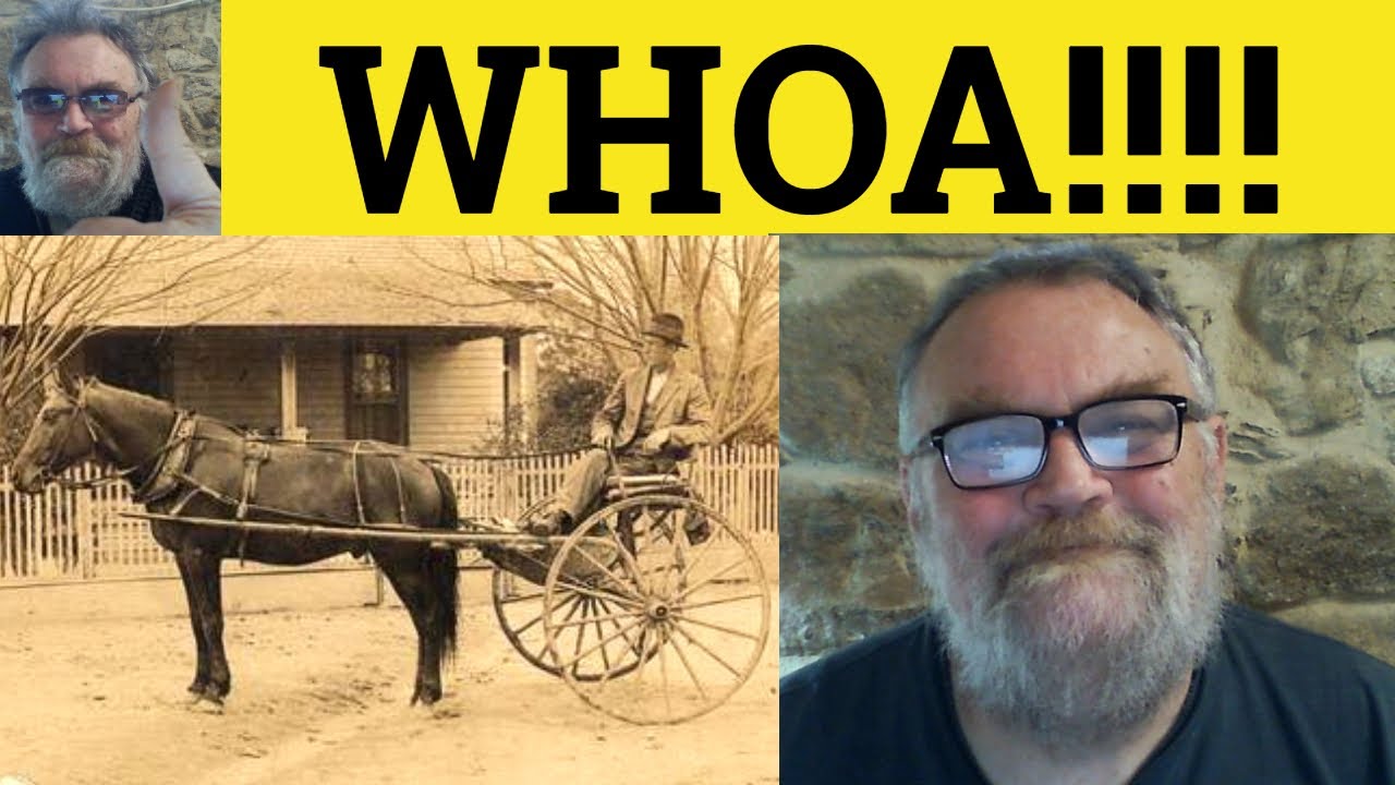 🔵 Whoa Meaning - Woah Examples - Whoah Defined Woa - Interjections ...