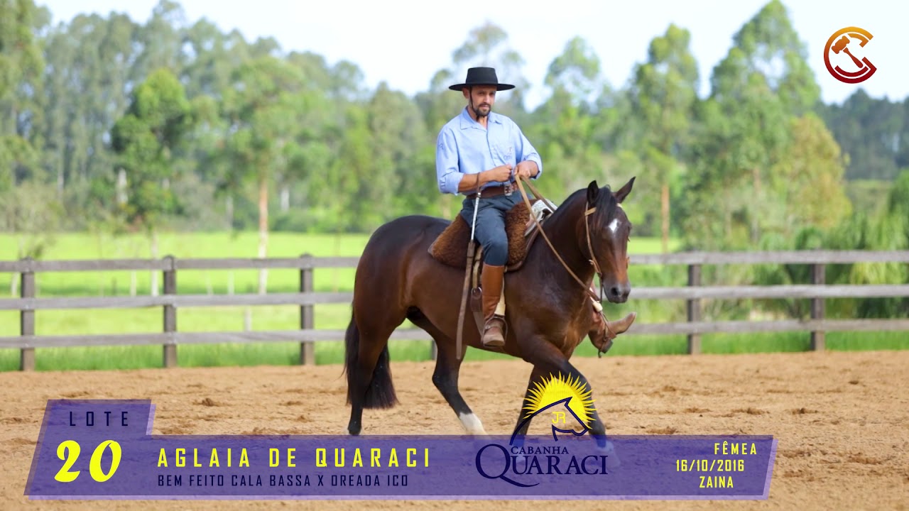 Lote 20 - Aglaia de Quaraci - YouTube