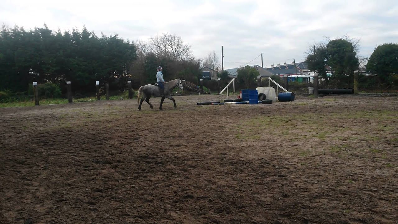 5yo colt by kilmore diamond[class one]. - YouTube