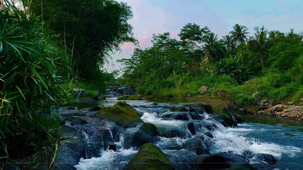 Soothing Stream Sounds – Relax And Unwind With Nature | sleep - relax ...