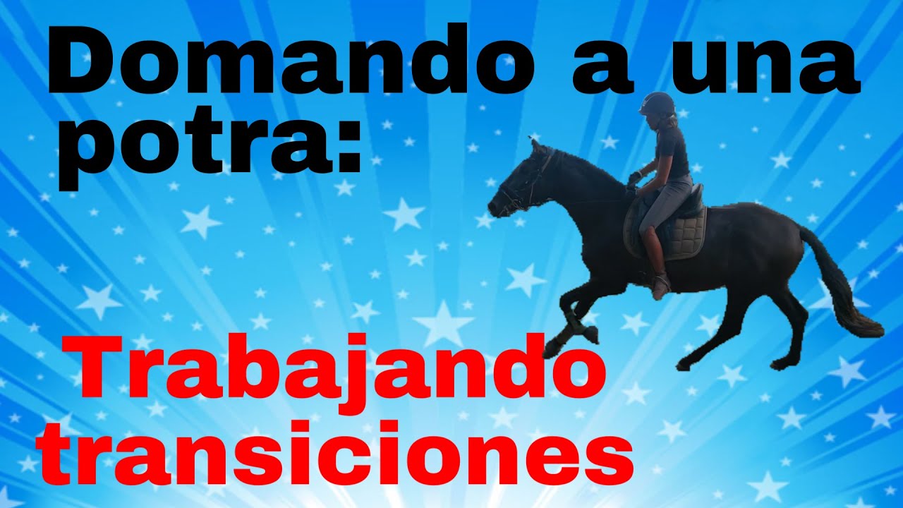19º Días, enseñando a la potra las transiciones ascendentes y ...