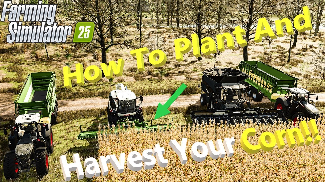 FS25! | How To Plant And Harvest Corn! | Beginners Guide Part 19! | # ...