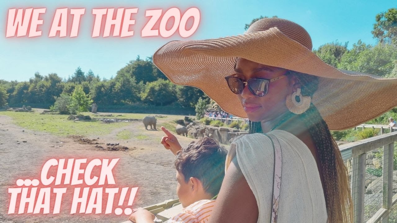 We are at the zoo / full day at the zoo with kids - YouTube