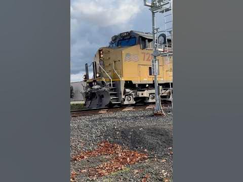 UP 7281 passing through Tangent Oregon. #unionpacificrailroad #railfan #unionpacificrailway ...