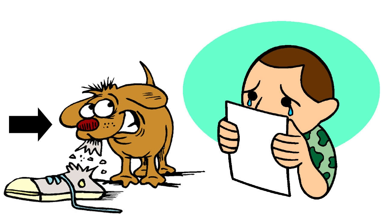 aggrieve-cause sorrow ASL - YouTube