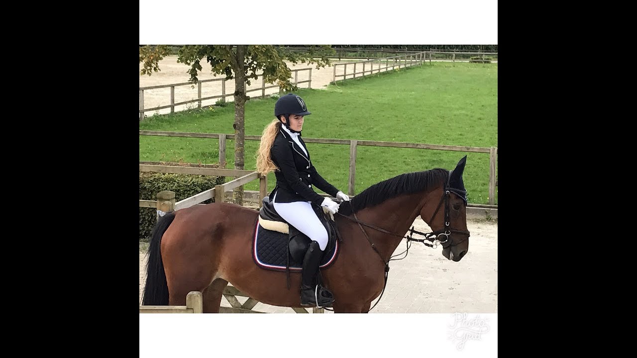 Jumping competition: Jamie & Whoopy [Up to 1 Meter ( 3 ft 3) ] - YouTube