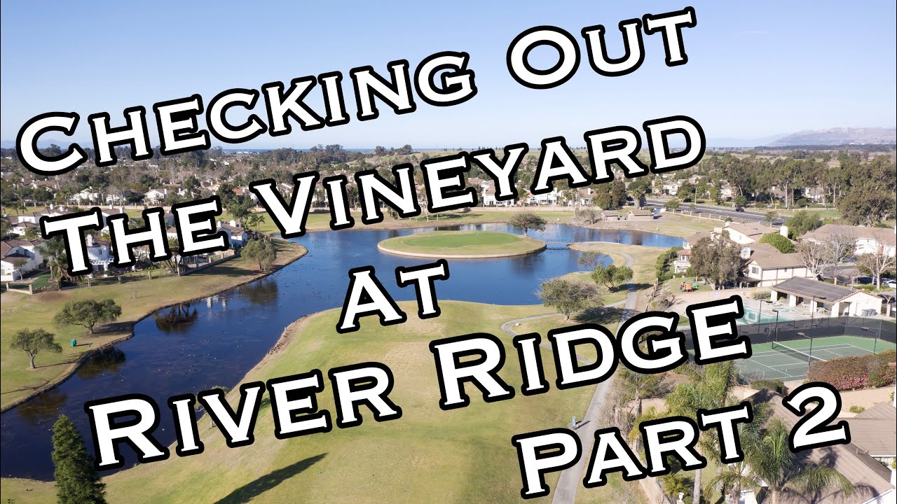 Ready Golf, Ep. 20 River Ridge Vineyard Course Vlog Part 2 - YouTube