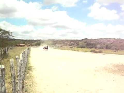 Celso Vitorio - DANA BEAVER (P110112) - Boi 3 - YouTube