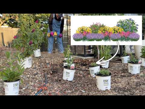 Creating a Jewel-Toned Garden and an Unexpected Emergency!