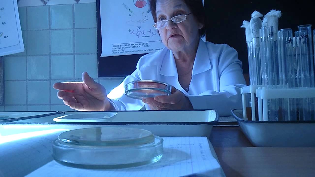 Микробиология. Практика. Факторы патогенности - YouTube