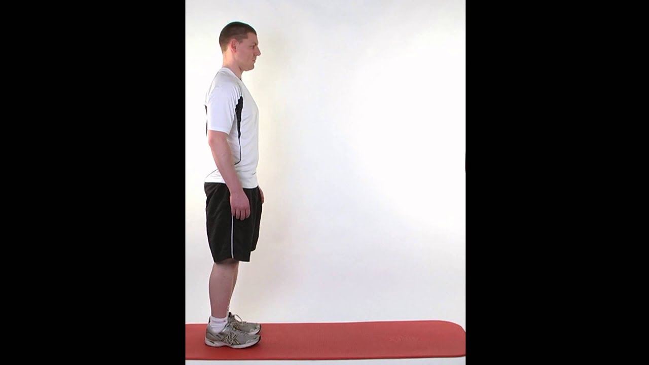 Physiotherapy video - Back circuit exercises - YouTube
