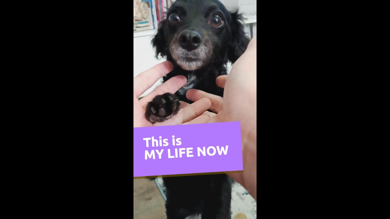 This is My Life Now... - YouTube