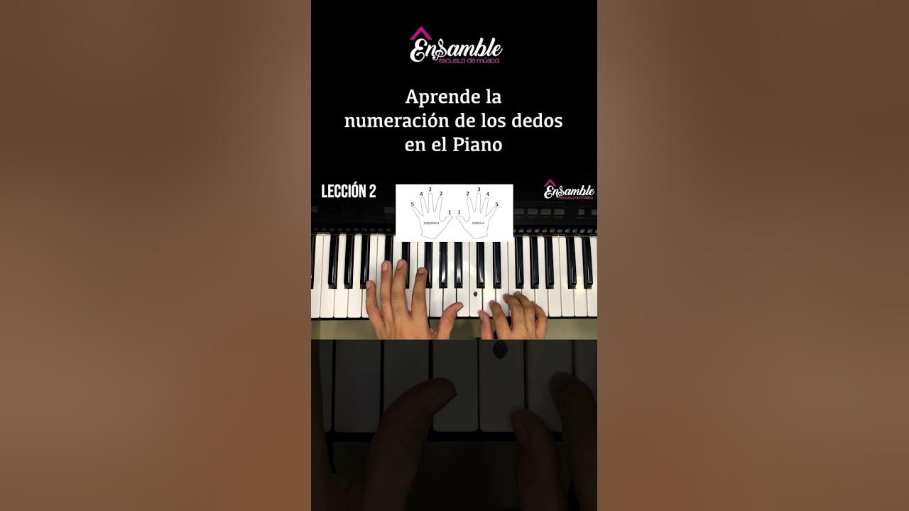 Numeración de los dedos #piano #aprendeatocarpiano #pianotutorial # ...