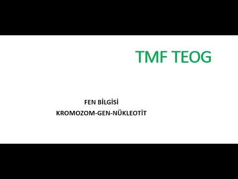 Fen Bilgisi - Kromozom / Gen / Nükleotit