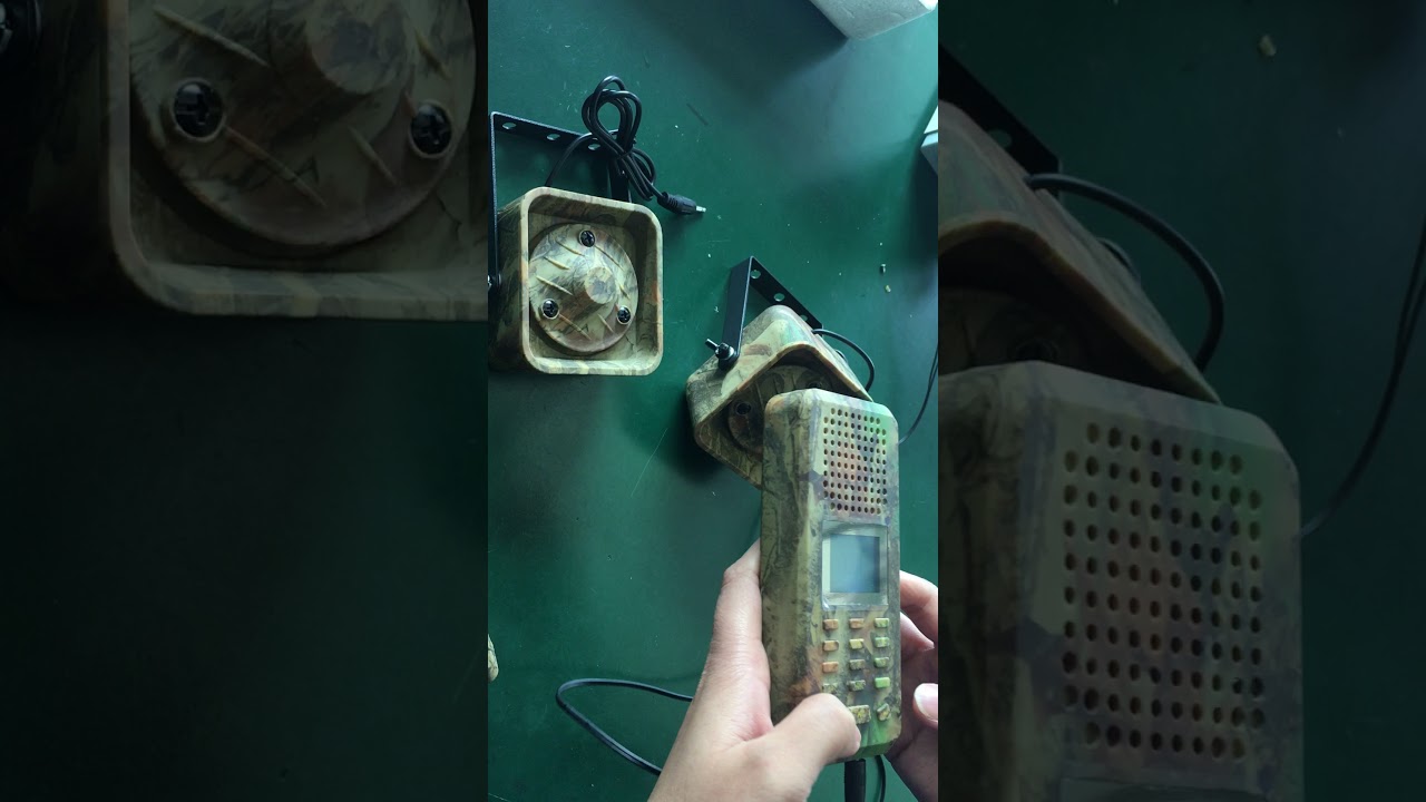 How to use our bird caller BK1519B - YouTube
