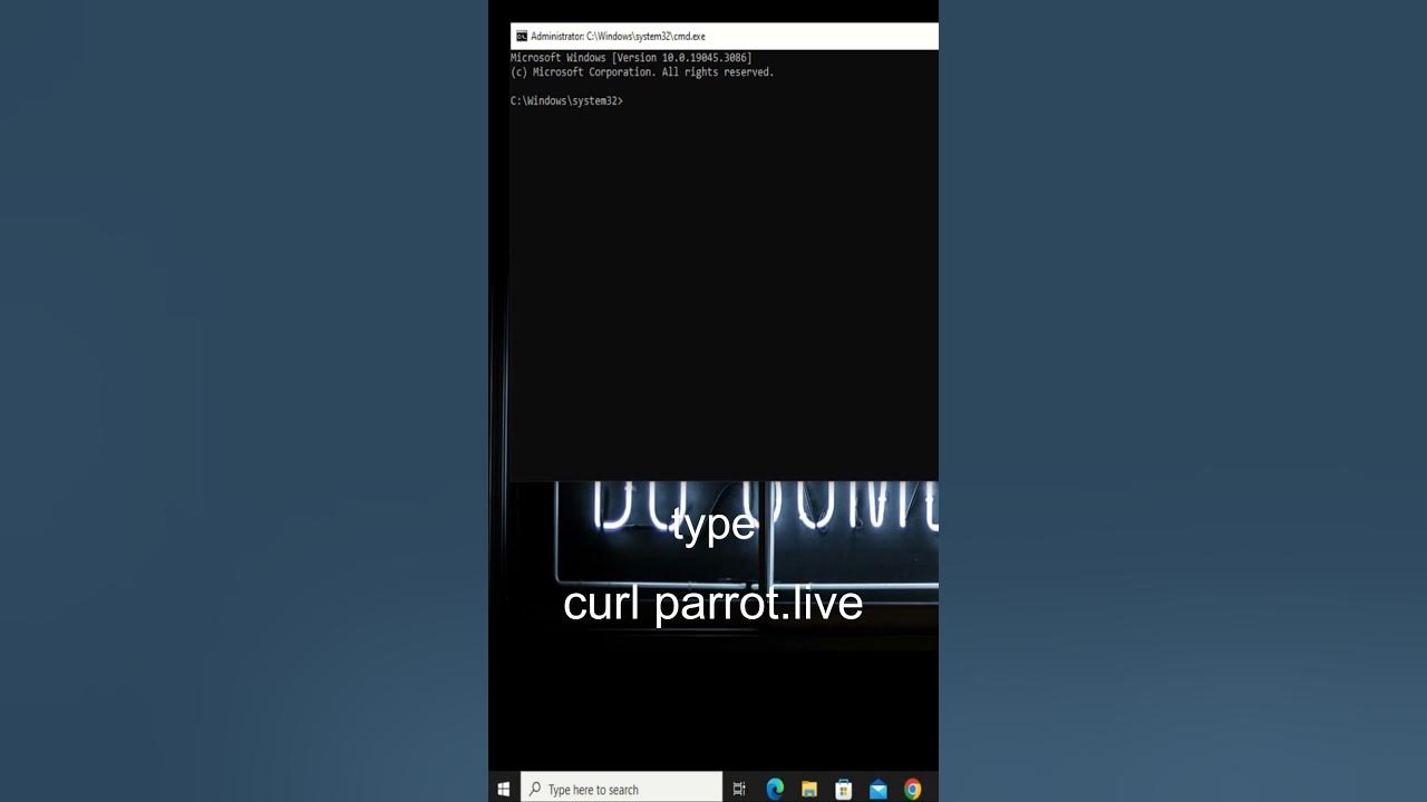 Cmd Hack Dancing Parrot Easter Egg Revealed Mrawesomeclub Youtube